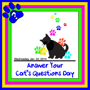 Melissa's Mochas, Mysteries and Meows: Answer Your Cat's Questions Day 2014