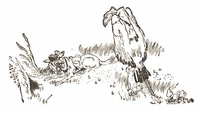 BRER RABBIT: TALES of a TRICKSTER: C007. Brer Rabbit Rides Brer Fox Again