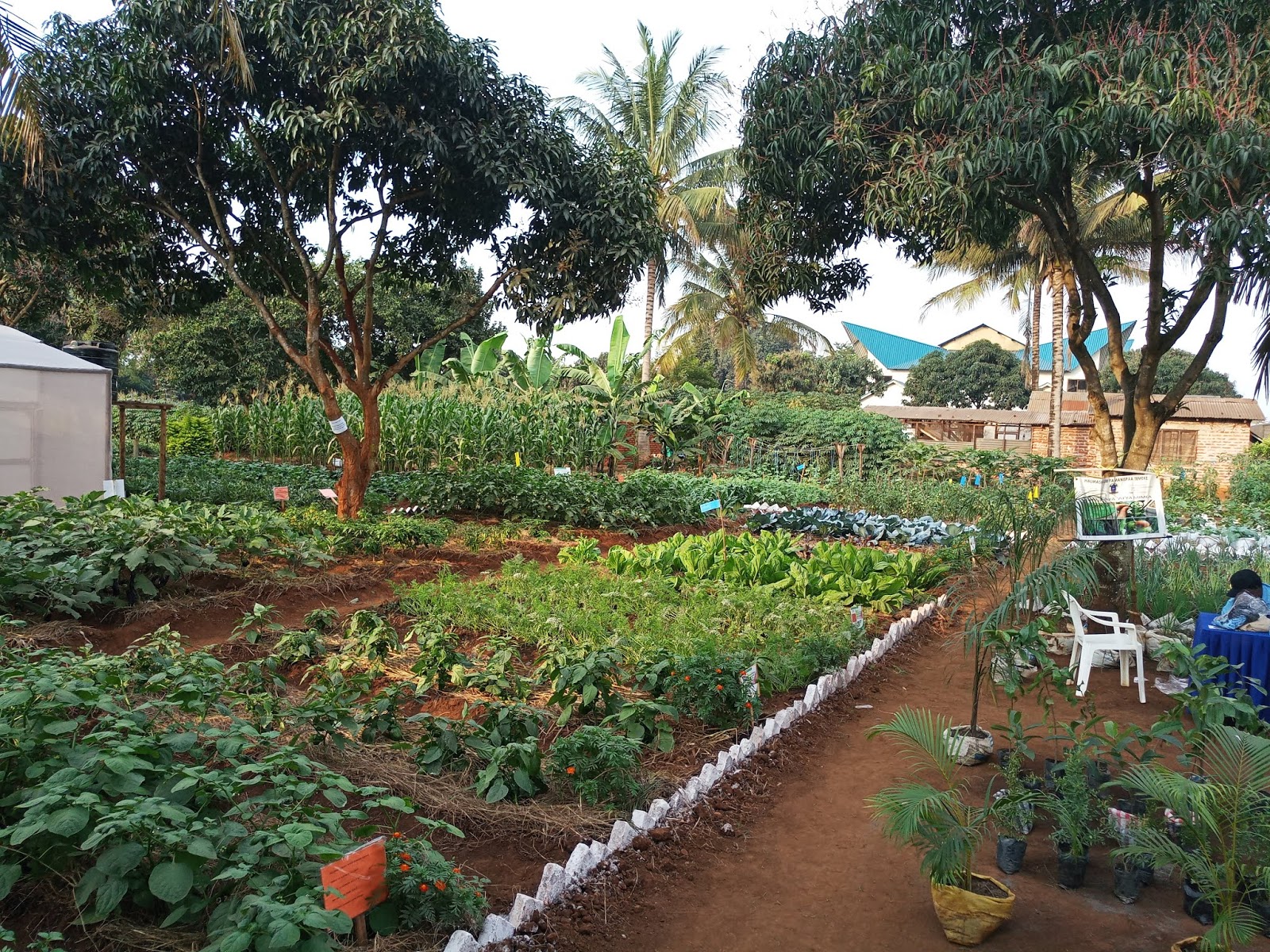 HALMASHAURI YA MANISPAA YA TEMEKE: Temeke ya ng'aa Maonesho Nanenane