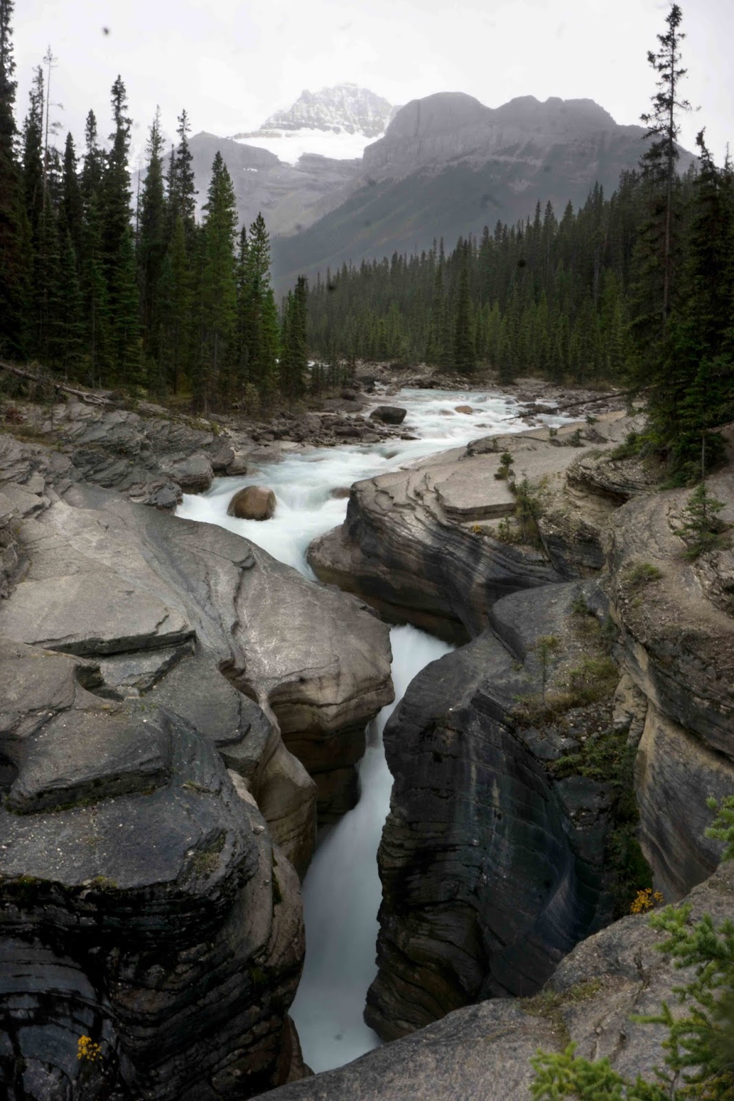 The Adventures of Asher & Journey: Banff National Park {Mistaya Canyon ...