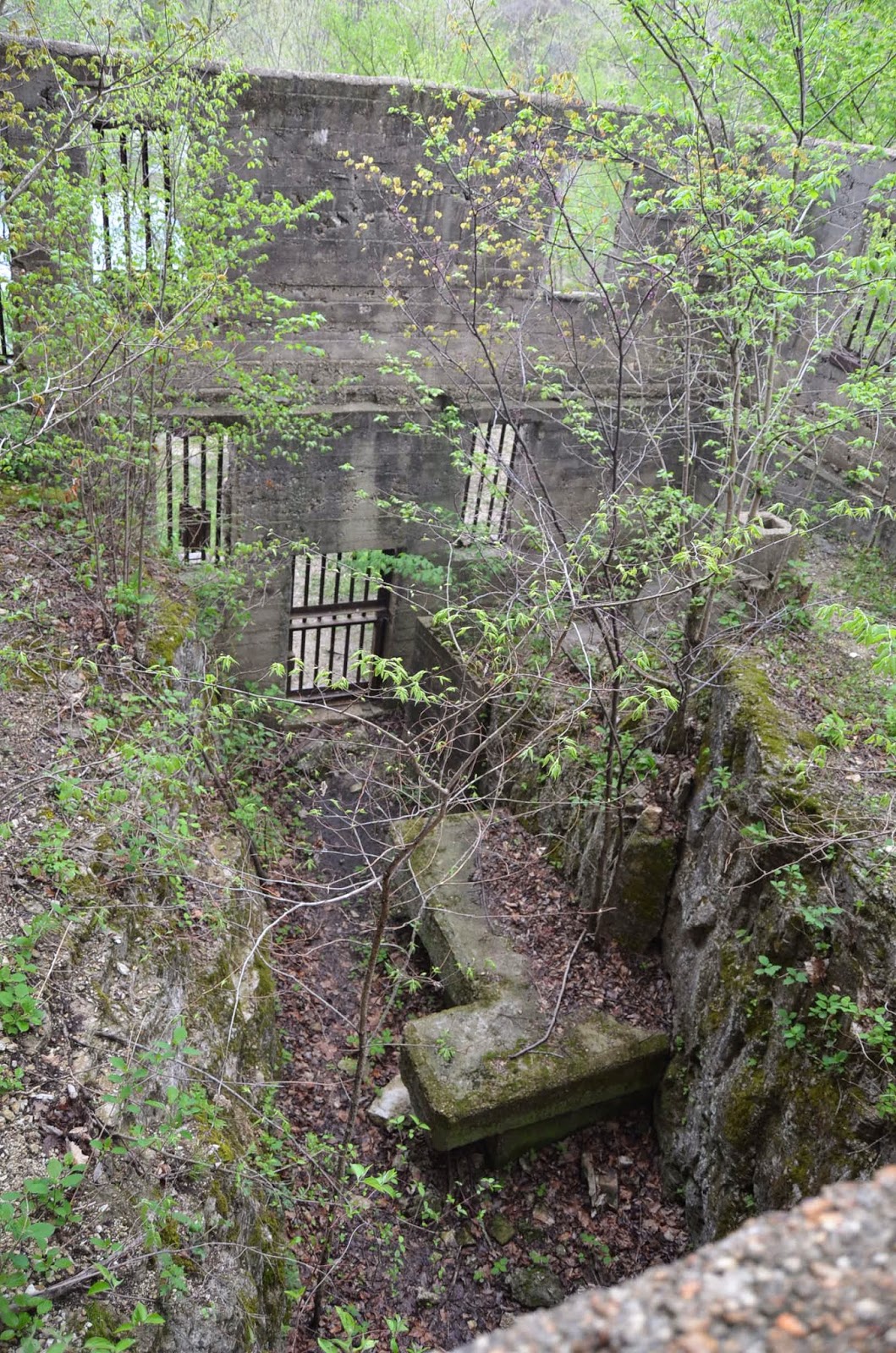 Hiking Daym: Welch Spring