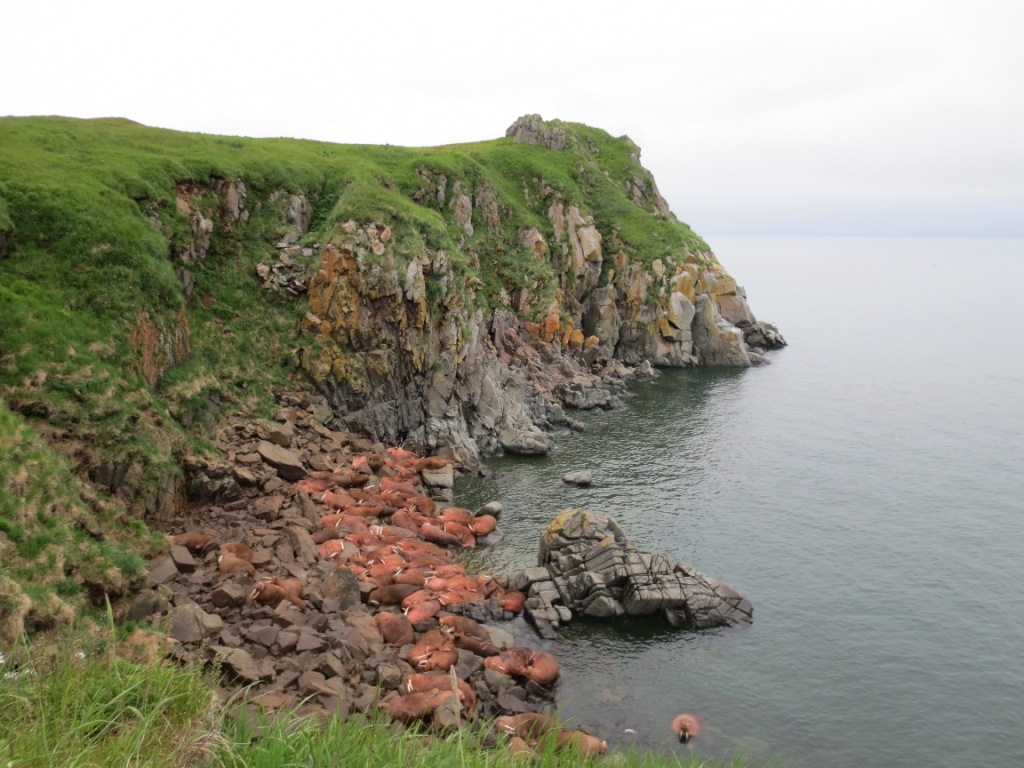 each day an adventure in alaska: round island 1...