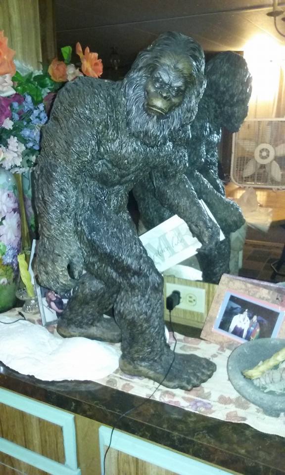 Wildfire Bigfoot Photo The Crypto Crew wildfire-bigfoot-photo-the-crypto-crew