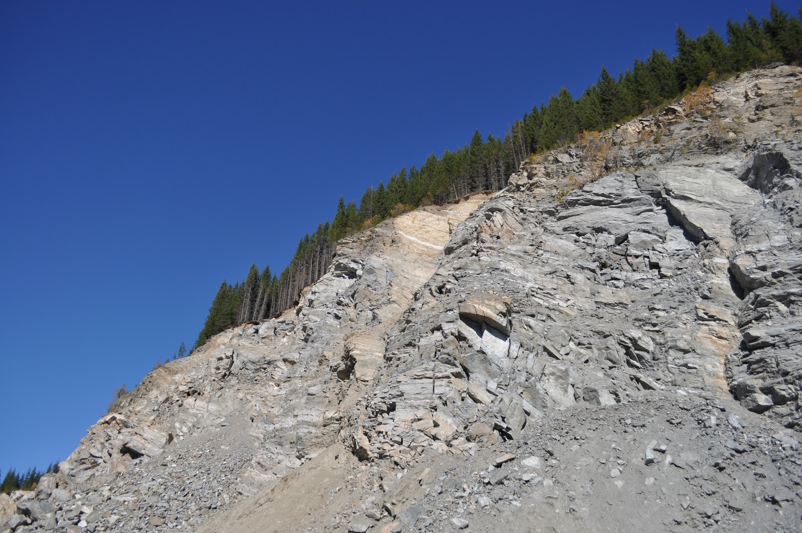 Poze, Natura, Animale, Plante, Romania, Valcea, Ionut Ungureanu