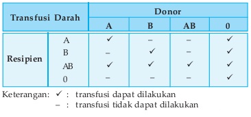 Biologi itu Kita: PEREDARAN DARAH