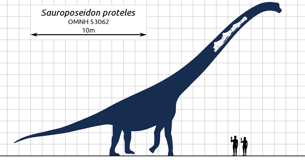 Extinct Animal of the Week: The Tallest Sauropod