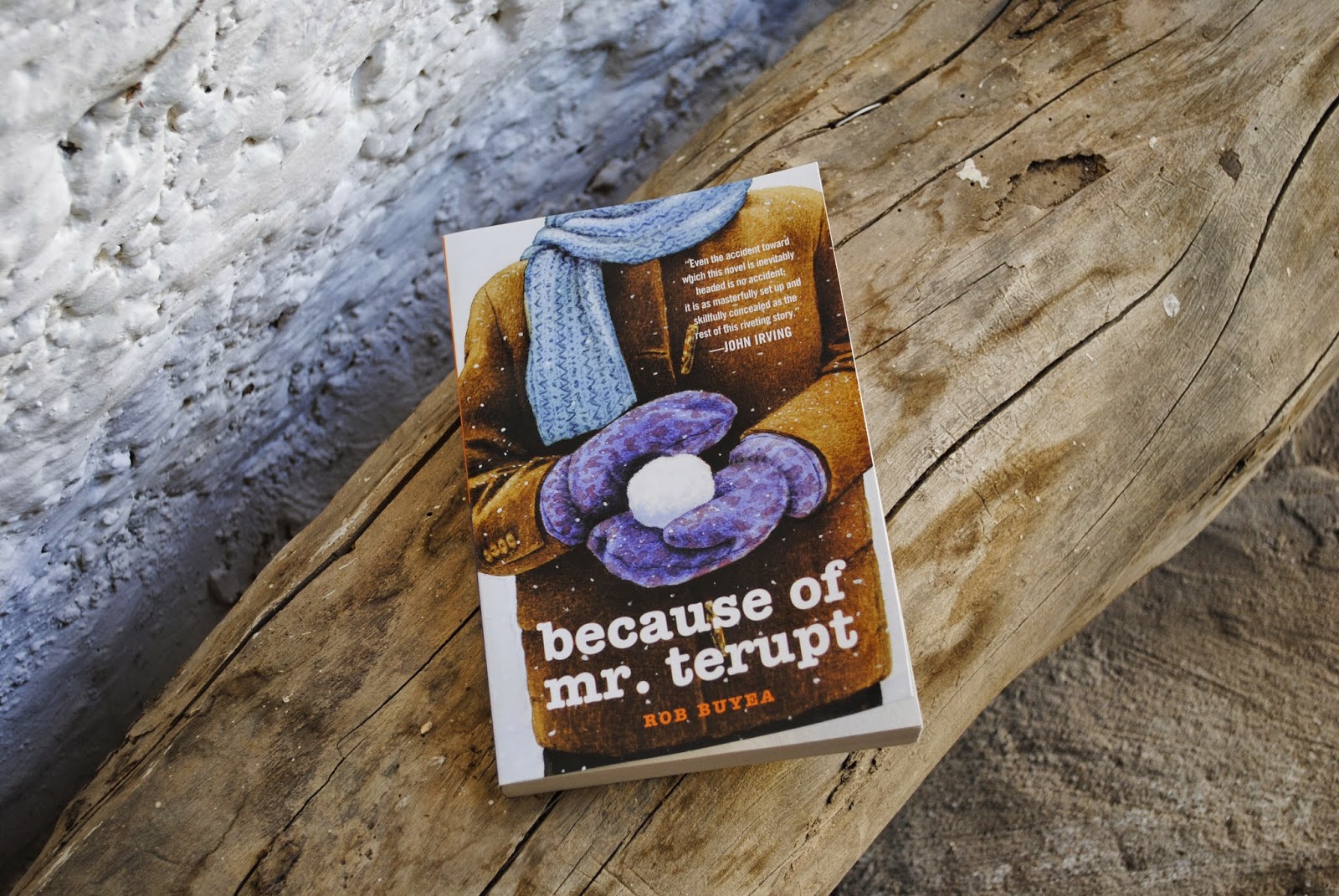 Book Review // Because of Mr. Terupt by Rob Buyea
