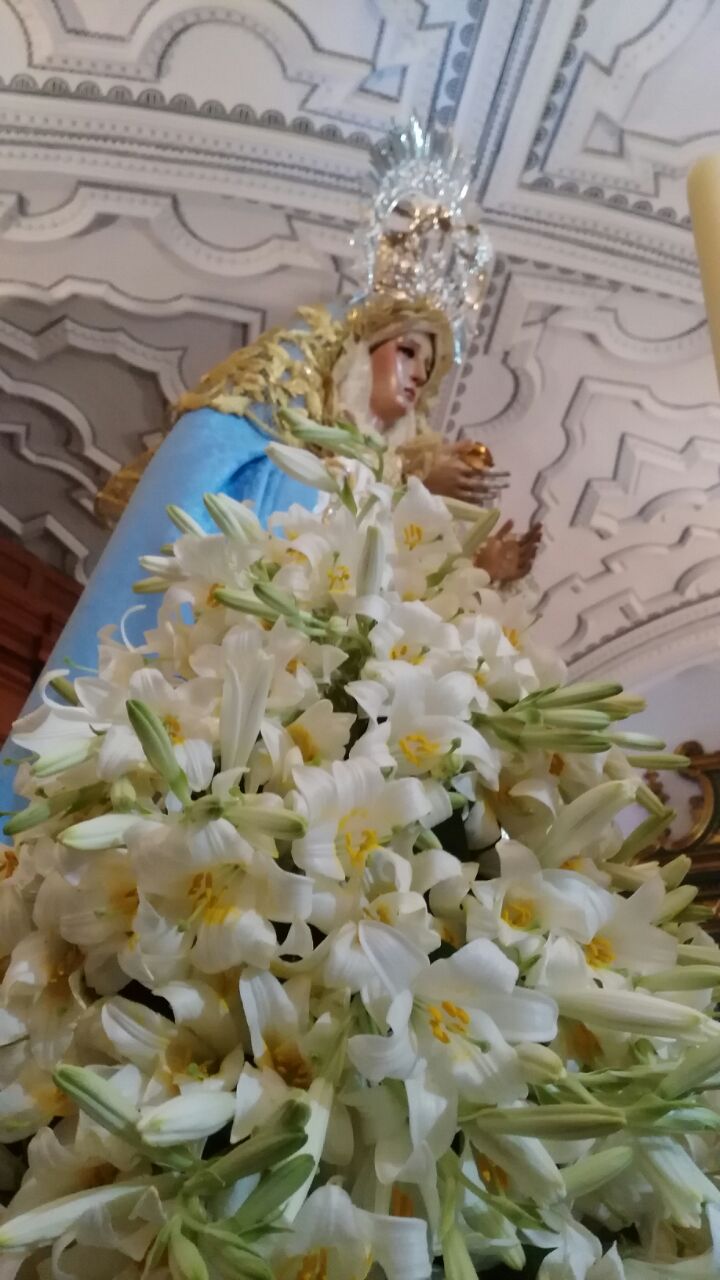 Flores de Semana Santa