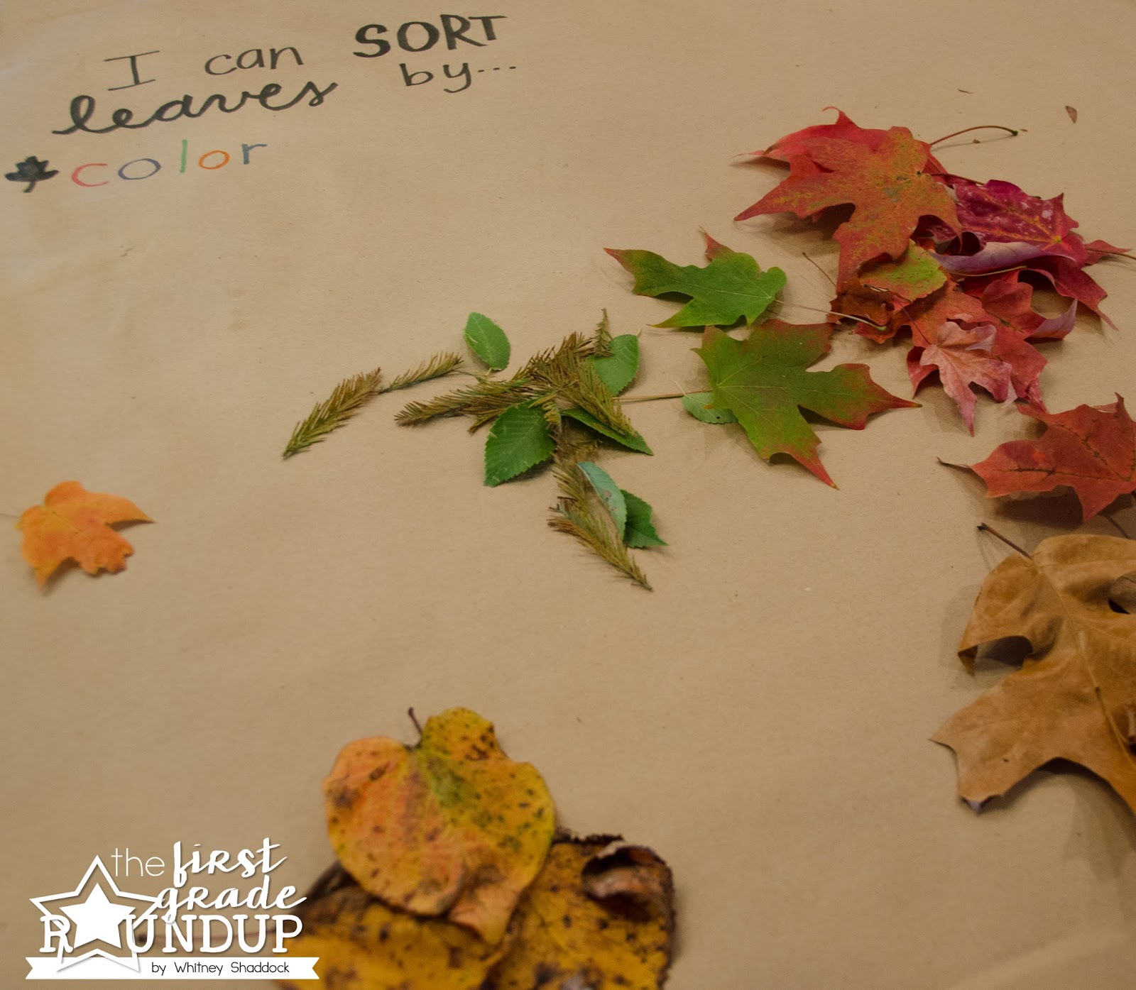 4 simple fall leaves preschool crafts & science activities - The First ...