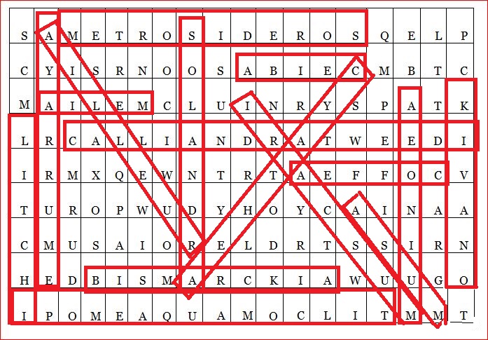 Soluzione a: Cerca le parole