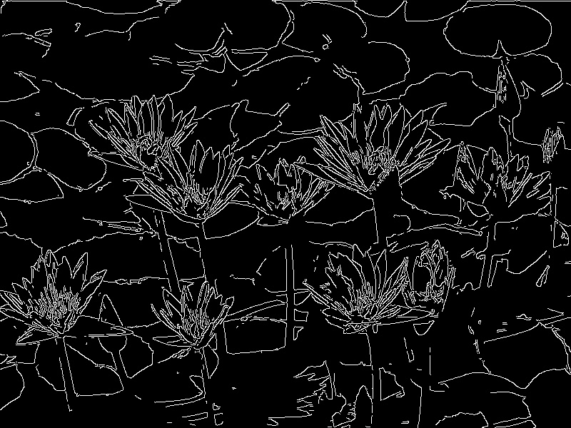 MareArts Computer Vision Study.: OpenCV Function Test - (cvCanny ... MareArts Computer Vision Study.: OpenCV Function Test - (cvCanny ...