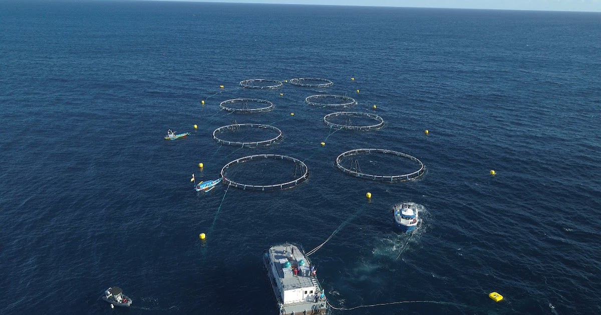 Karamba Jaring Apung (KJA) Offshore - PERIKANANKU