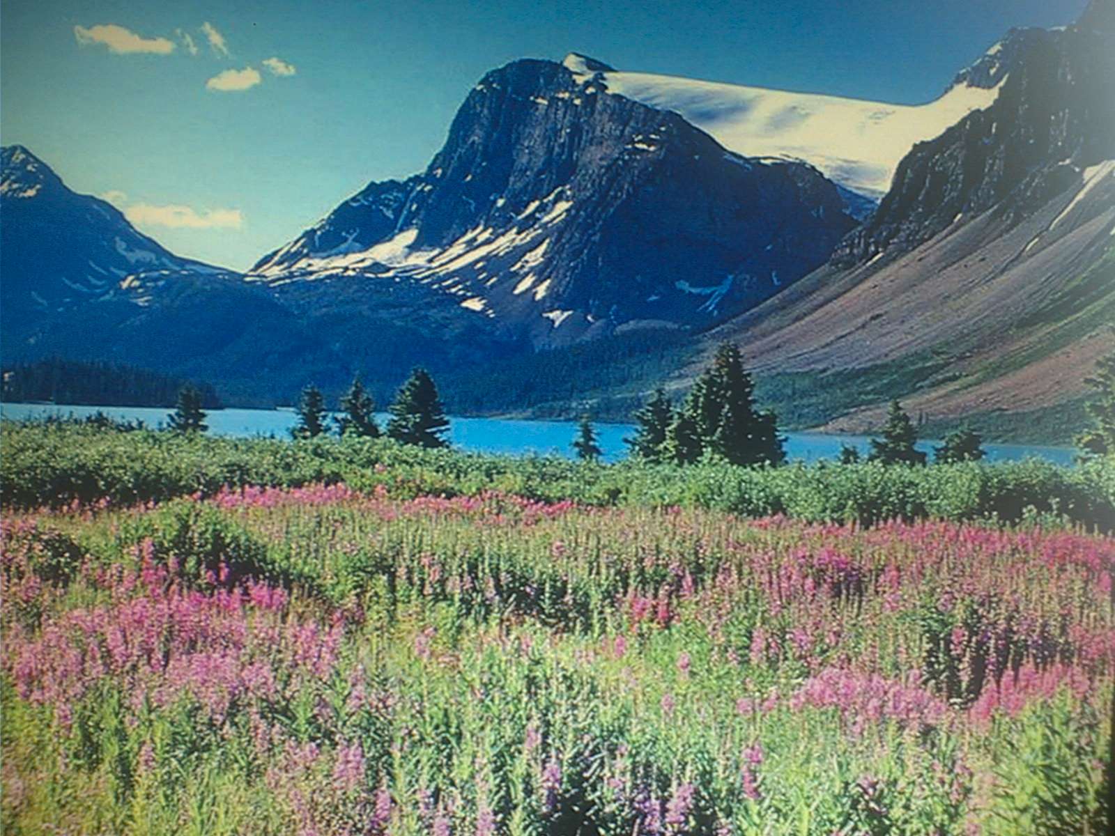 Ziua naţională a Suediei - 6 iunie