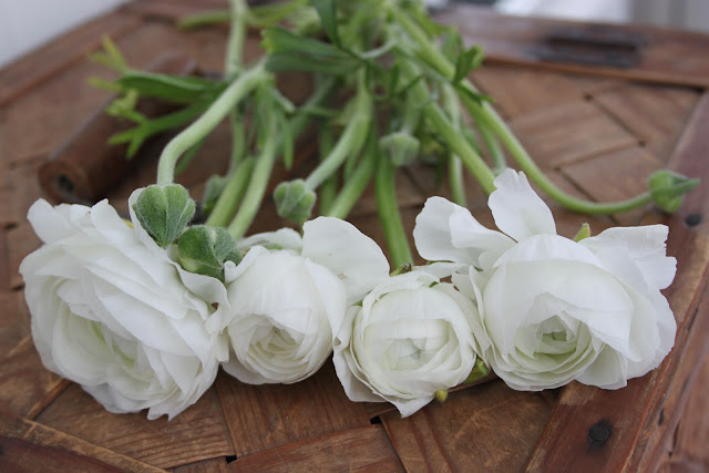 add: design / anna stenberg / lantligt på svanängen: Egna vita ranunkler