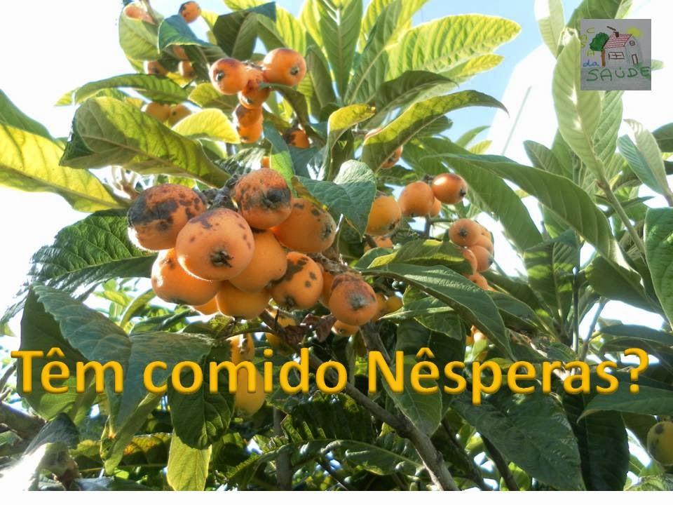 Têm comido Nêsperas?