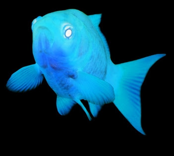 NMLK: A tribute to Pete Namlook and Fax Records: Daniel Pemberton ...