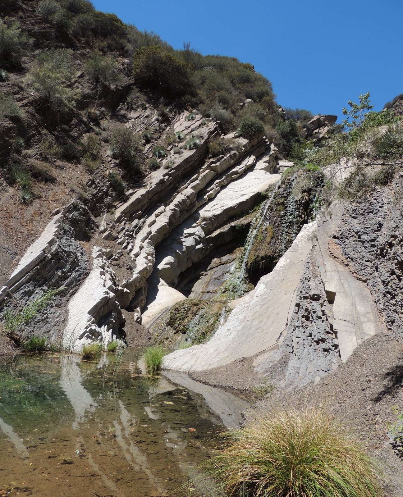 1000 Hikes in 1000 Days: Day 915: Matilija Falls - Bald Hills Trail