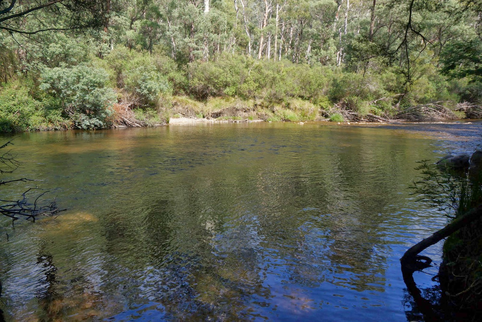 2014 Victoria High Country 4x4: Day 2 - Going up Mt Pinnibar