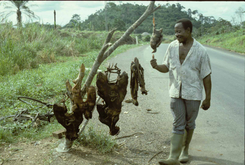 Wildlife Vet, Author, Storyteller: Bushmeat in Canada