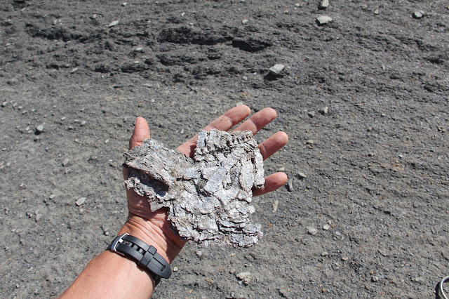 The Kansas Outback: Fossils--sixth in a series of the eight natural ...