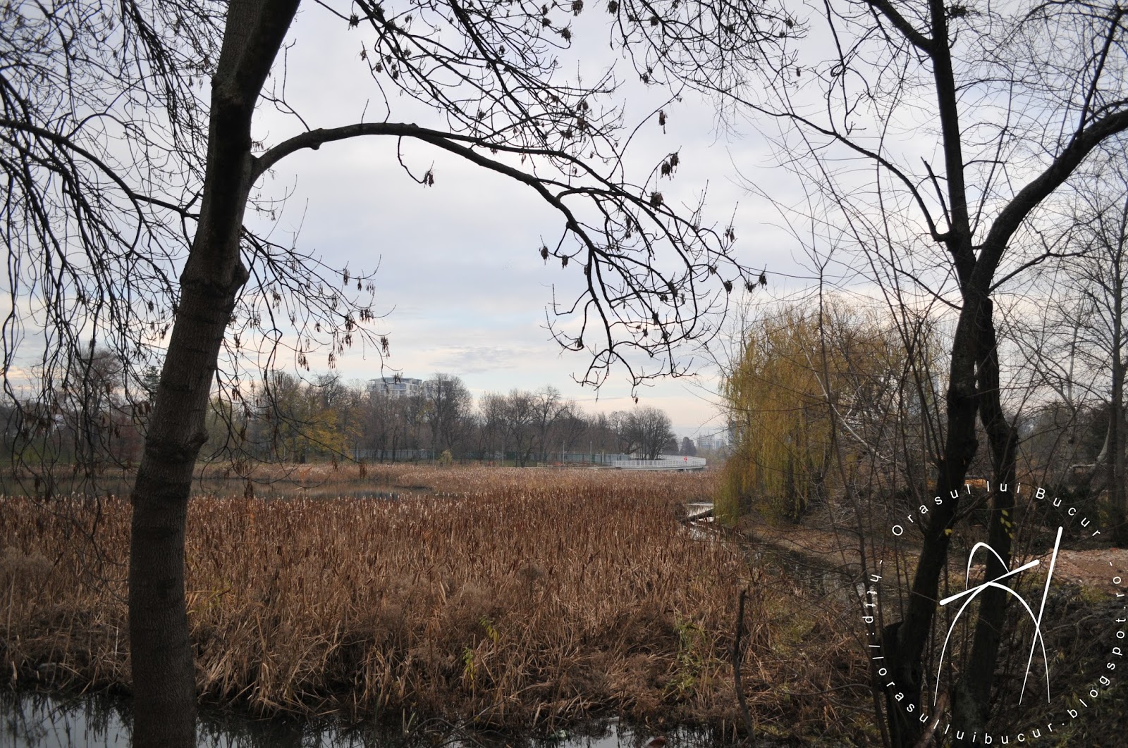 Orasul lui Bucur: Lacul din Parcul Bordei