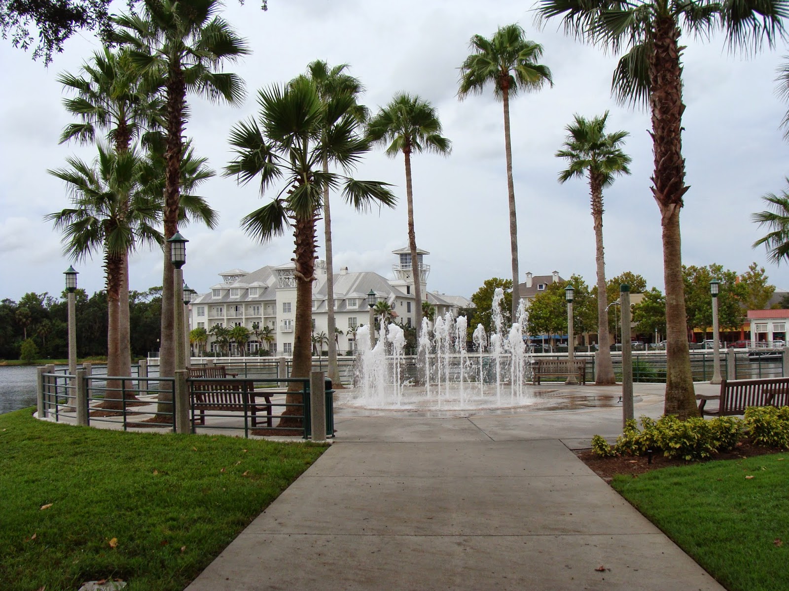 THE SIMMONS SAGA: Celebration in Celebration, Florida