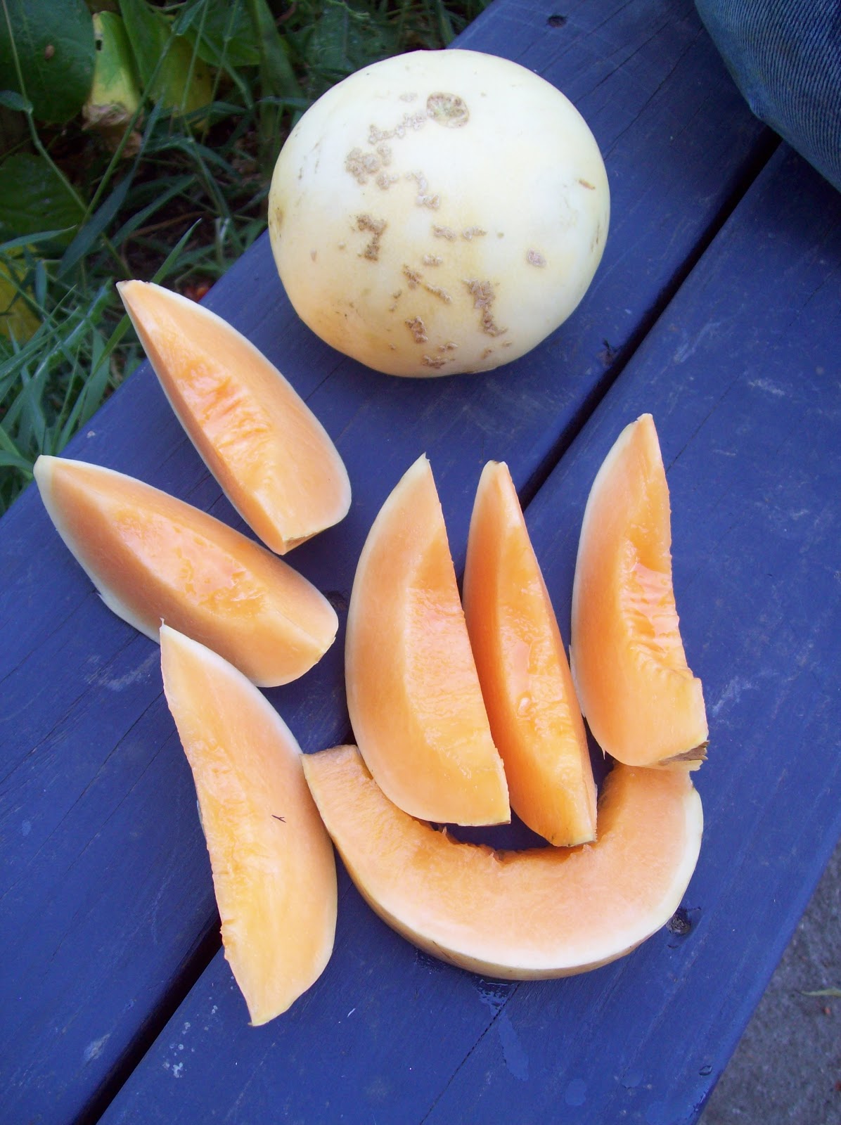 The Sharing Gardens : October 2012