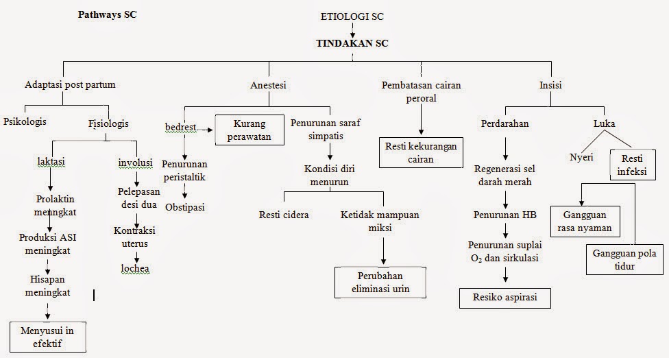 LAPORAN PENDAHULUAN SC (SECTIO CAESARIA)