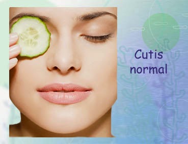 Salud y Bienestar by Joss: Cutis normal: Aprende a cuidarlo
