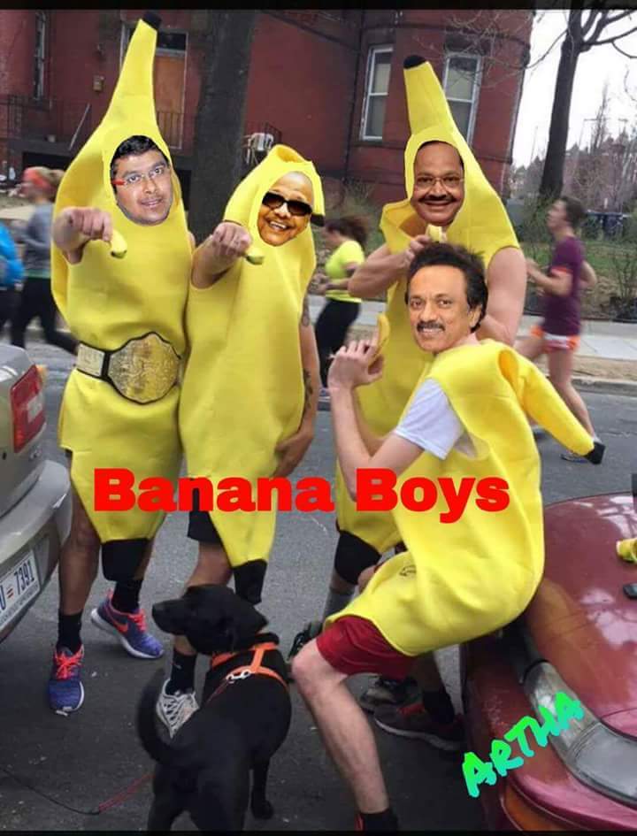 DMK Memes collection - Memes Collection