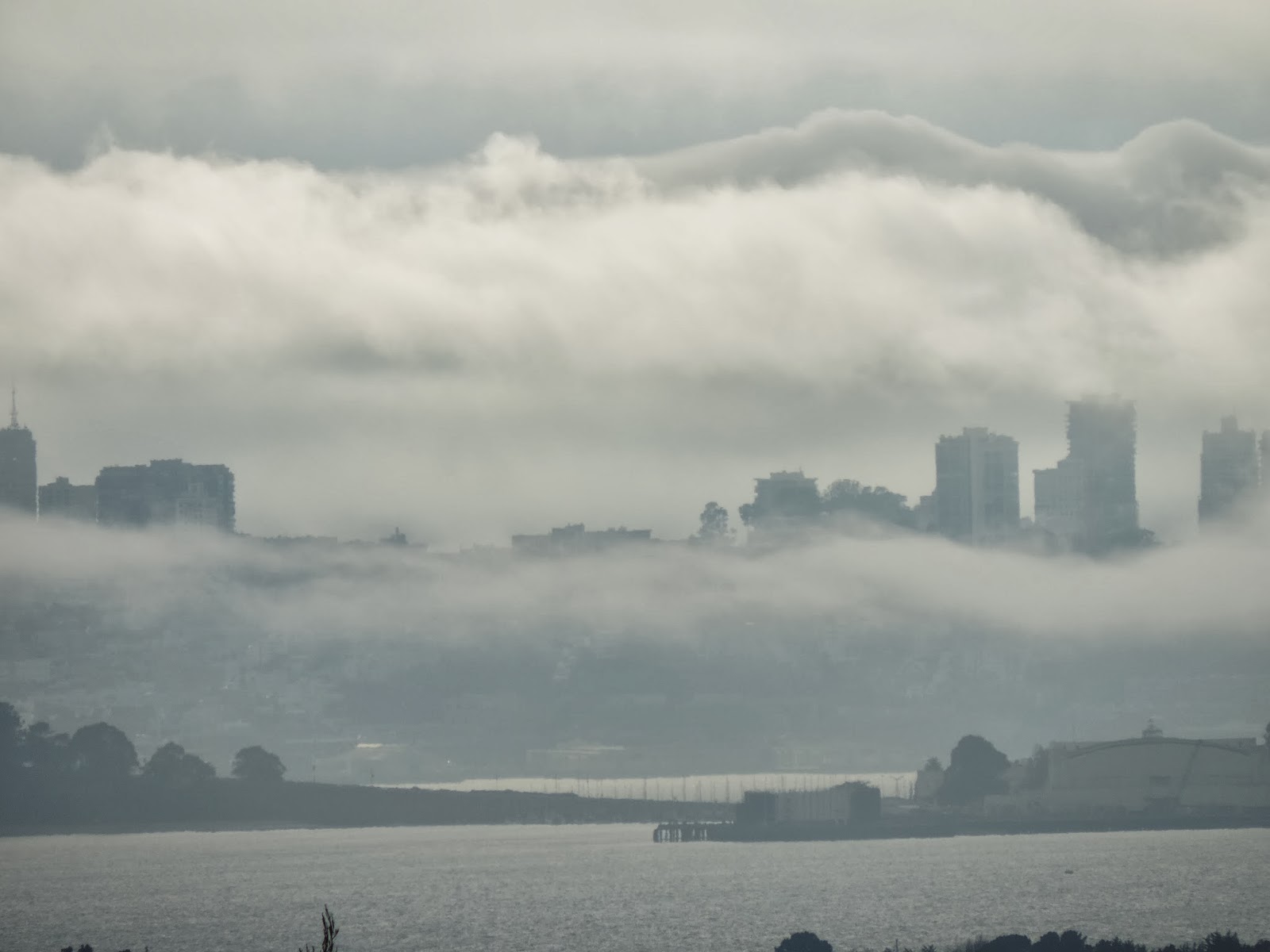 Keeping Your Head in (All) the Game(s): Fog City