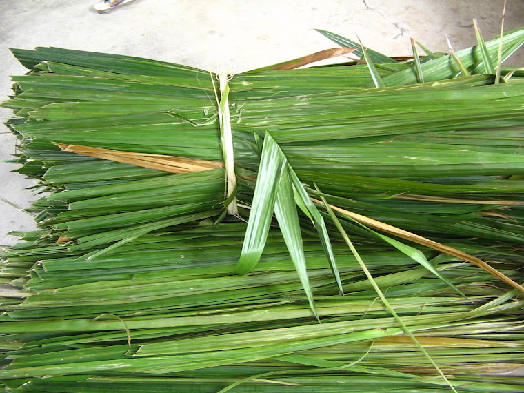 Pembekal Atap Rumbia Atap Nipah Atap Lalang Thatched Roof Atap Rumah