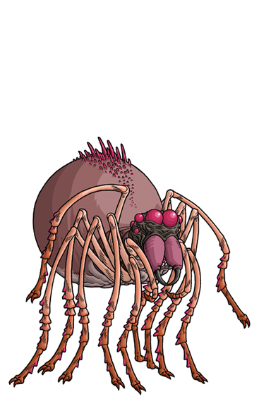 yog-blogsoth: DEMON SPIDER