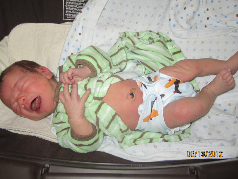 The Mommy Goods: Introduction to Newborn Cloth Diapering Series