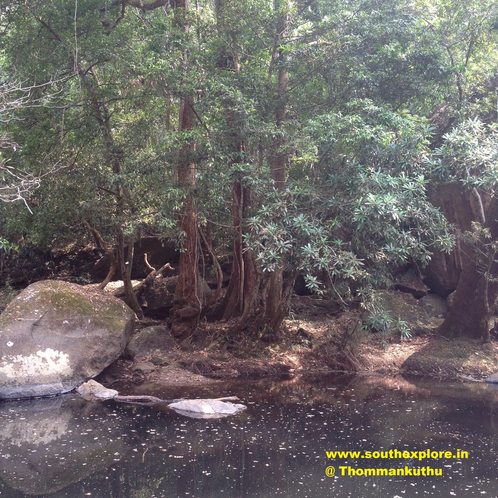 THOMMANKUTHU FALLS -THODUPUZHA-IDUKKI-KERALA ~ SOUTH INDIA TOURISM