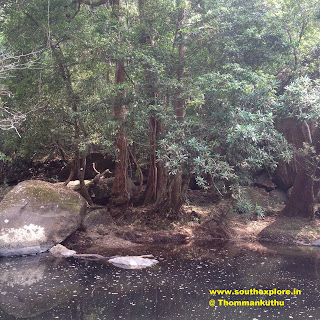 THOMMANKUTHU FALLS -THODUPUZHA-IDUKKI-KERALA ~ SOUTH INDIA TOURISM