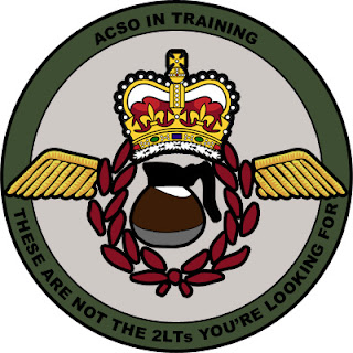 a Red Pumpkin Studio: ACSO patches