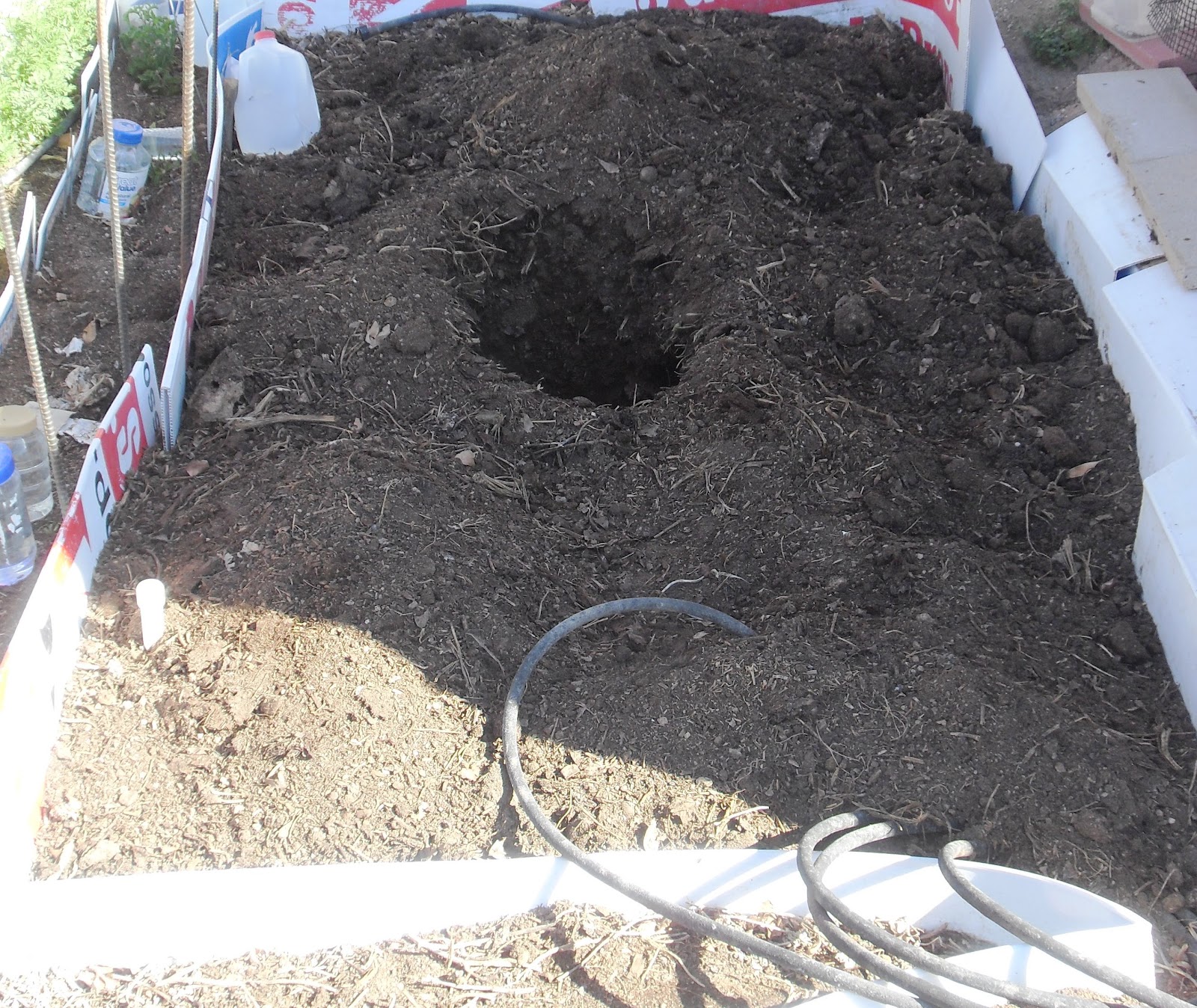 The Scientific Gardener: Don’t Forget to Feed the Garden