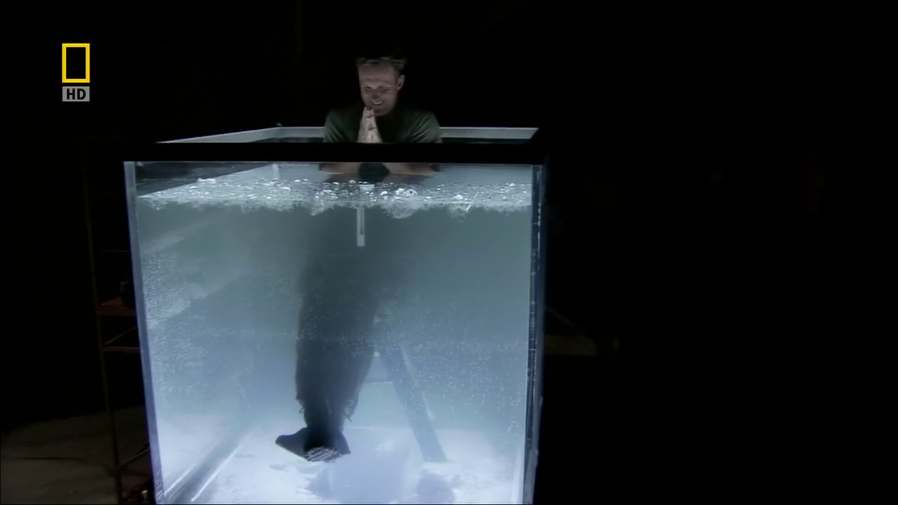 NAT GEO FANS: Fight Science Special Ops aka "Fight Masters: Special Forces"