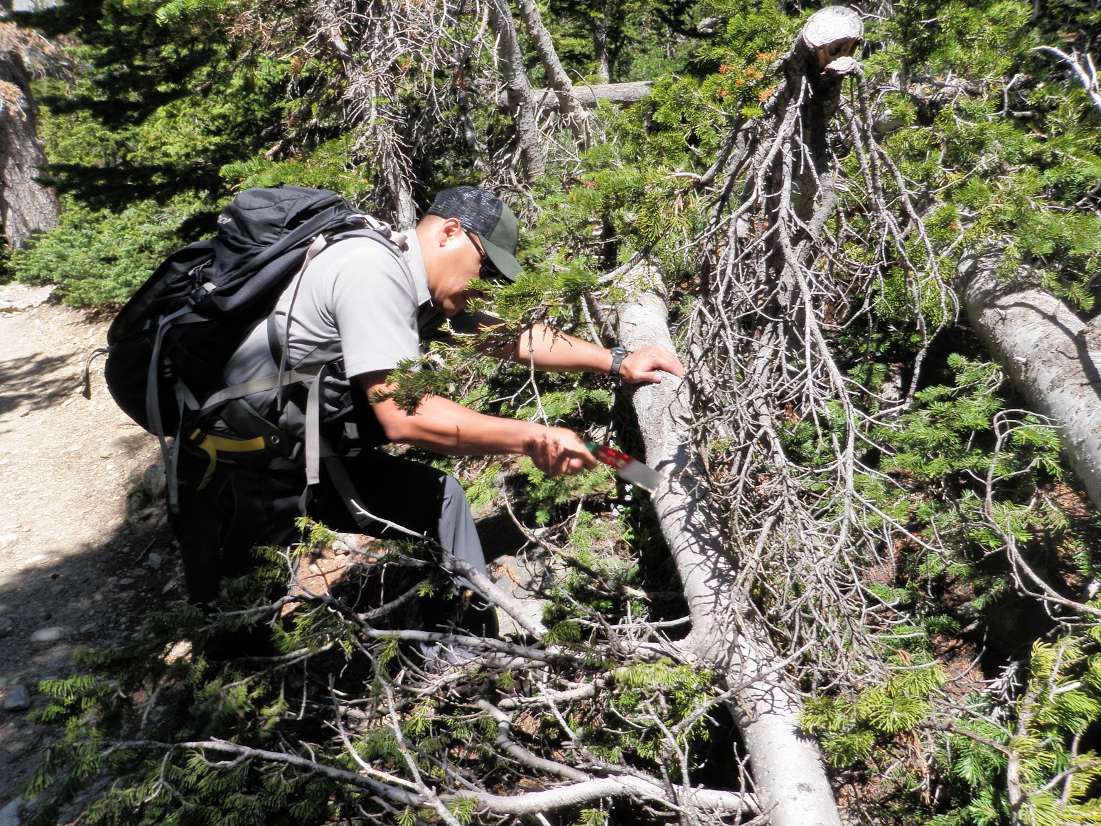 ProRanger San Antonio