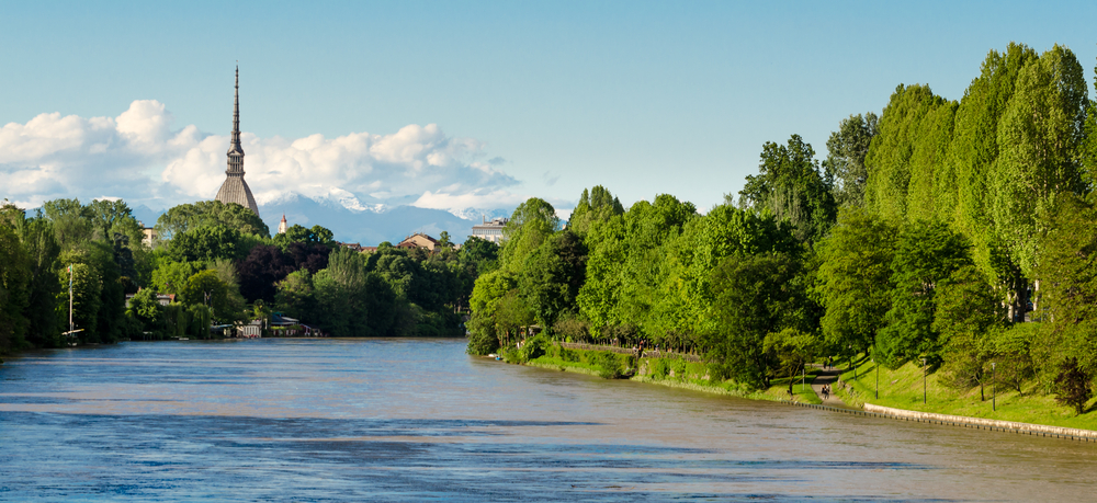 Verde Olivastro: Il verde a Torino