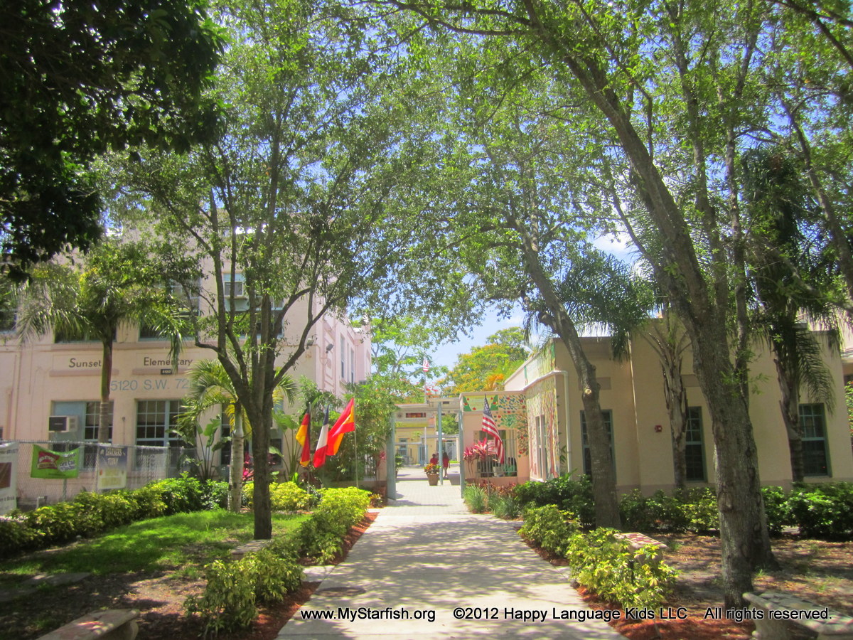 IB PYP Children's Books HUGO THE HAPPY STARFISH: AUTHOR VISIT - Sunset ...