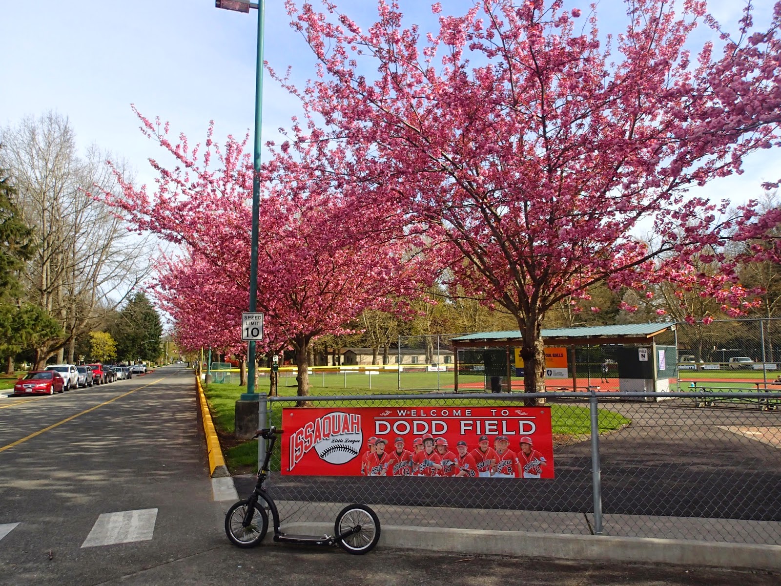Kent's Bike Blog: #30DaysofScootering - Day 5 - Along the Issaquah Creek