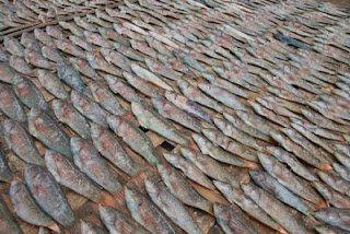 MCJ: Bantayan Island Cebu