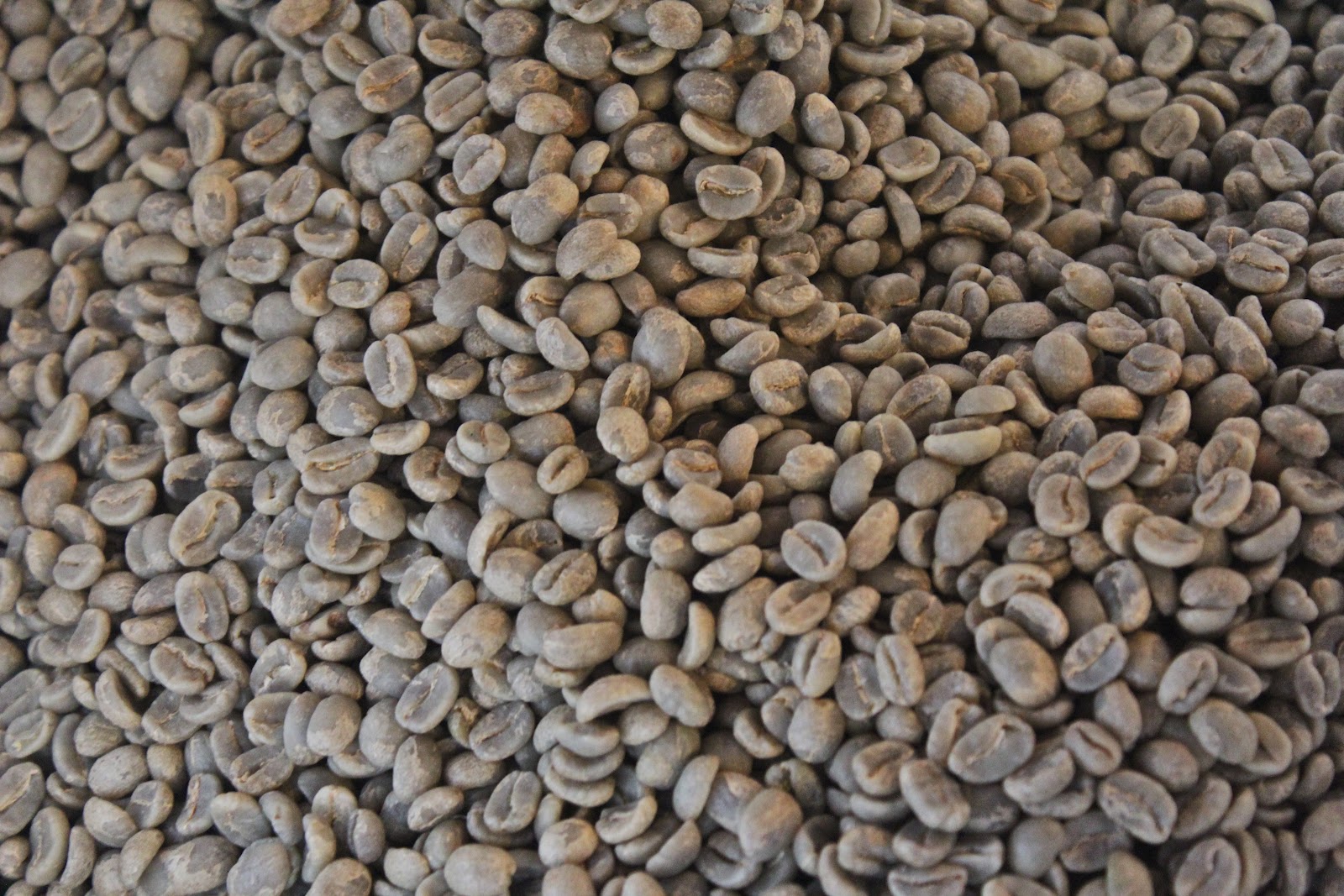 The Bramble: Coffee Dry Milling: Parchment Remover