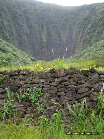 Latitude Options: Wailau Valley Secrets, Molokai, Hawaii