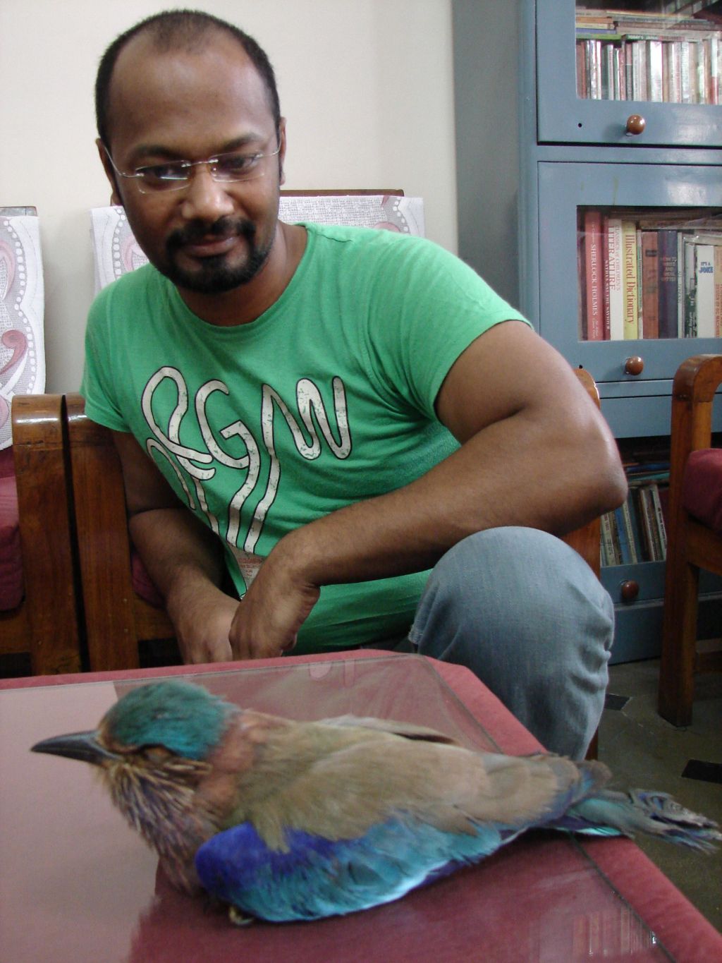 Raghu's column!: Sighting a ‘Pala Pitta’ bird on the occasion of Dasara ...
