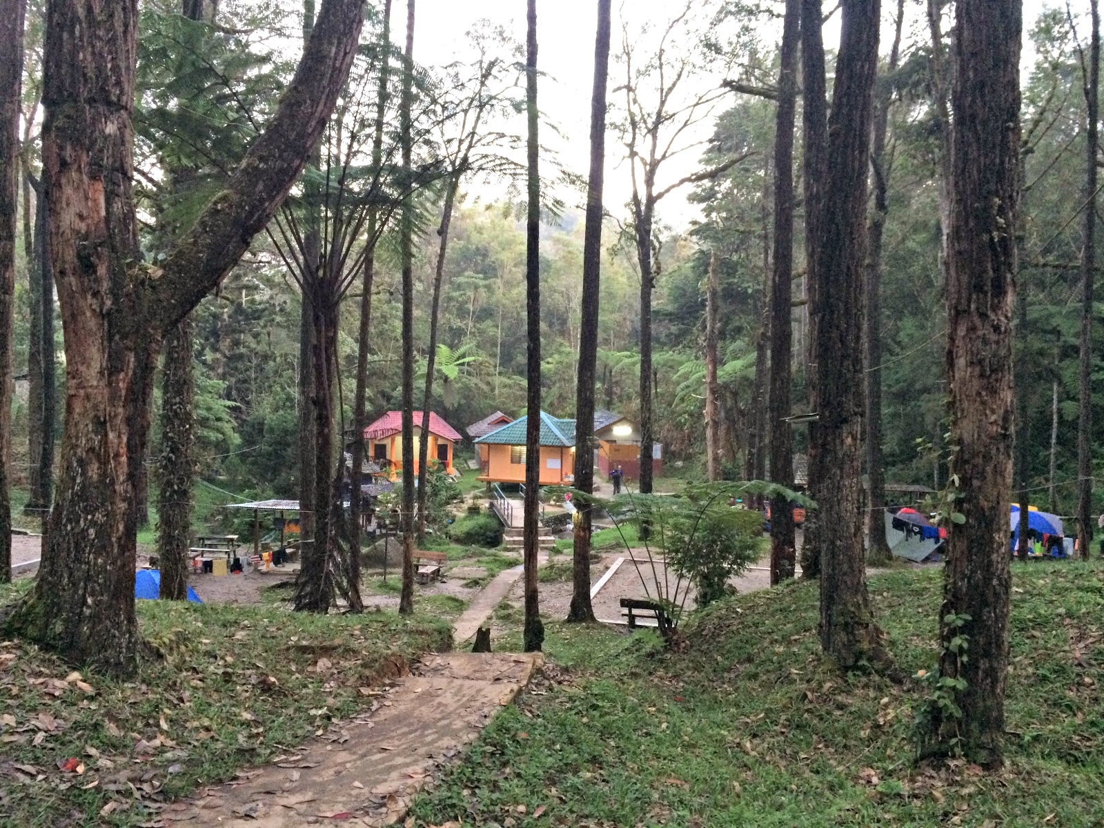 sarahkhooyw: 4D3N Camping at Cameron Highlands + Hiking at Gunung Irau.