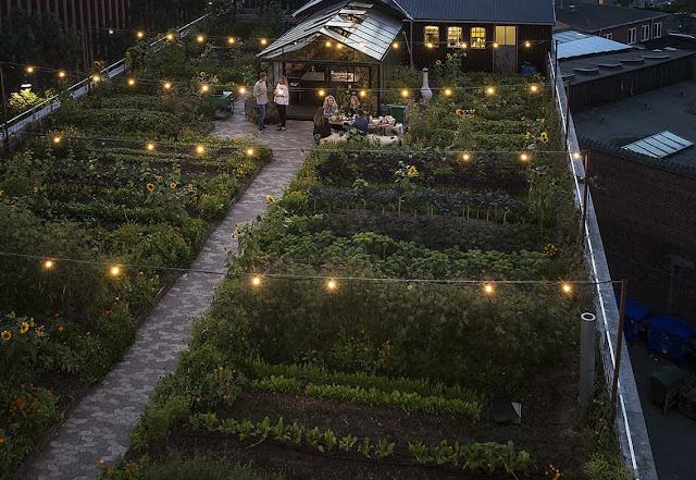 Copenhagen Rooftop Garden Restaurant And Bar ! - Mineoff
