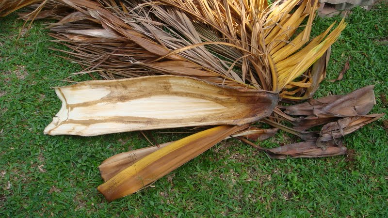 Nilai: PERMAINAN TARIK UPIH PINANG